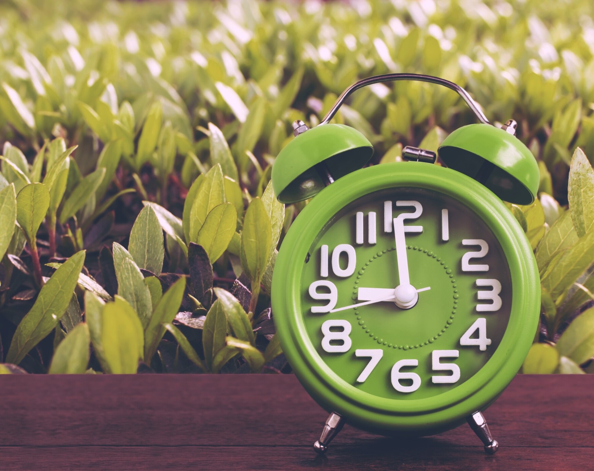 Zero-Embargo Green Open Access - ACS Open Science - Open Access News ...